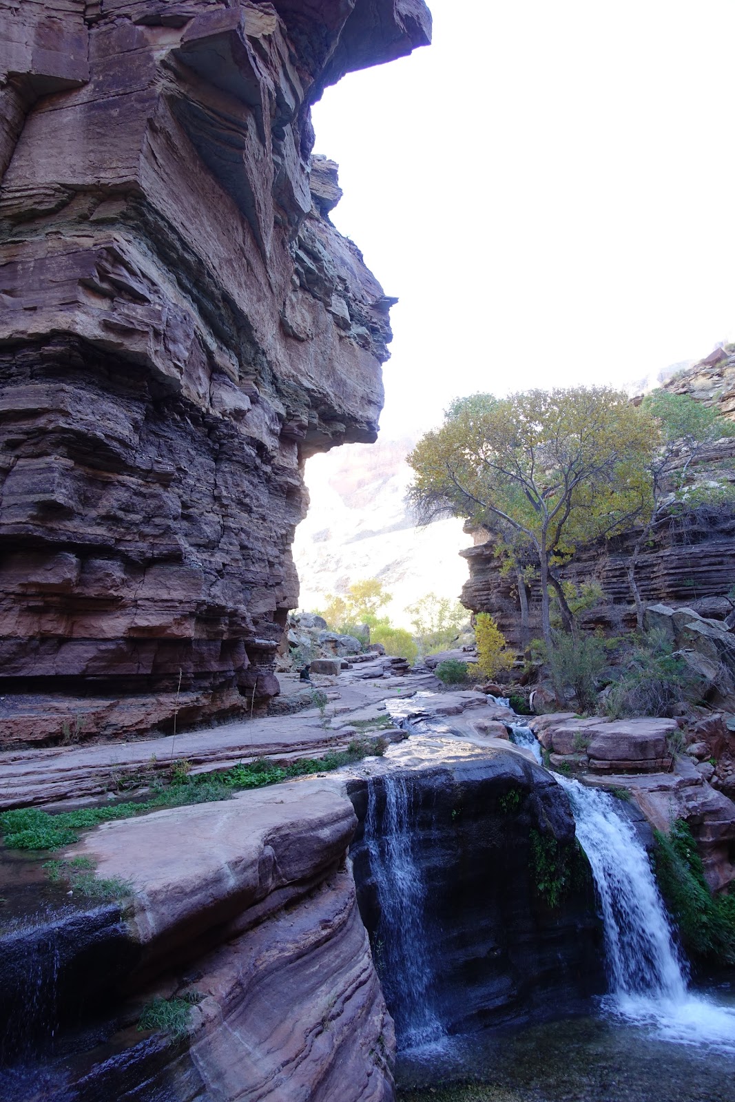 Saumya's Hiking Trips: Grand Canyon (Thunder River/Deer Creek Trail ...