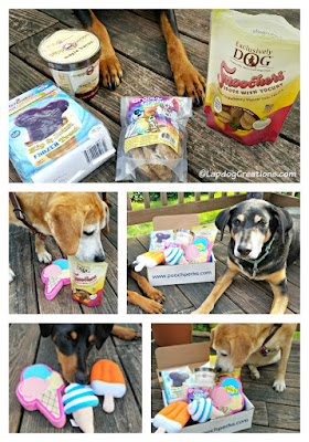 Lapdog Creations: A Doggone Good Ice Cream Party with #PoochPerks