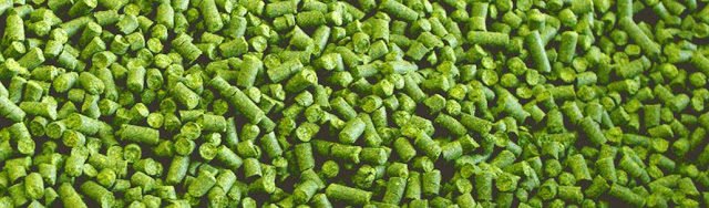↠ What is dry hopping (and how you do it) | How to Home Brew Beer