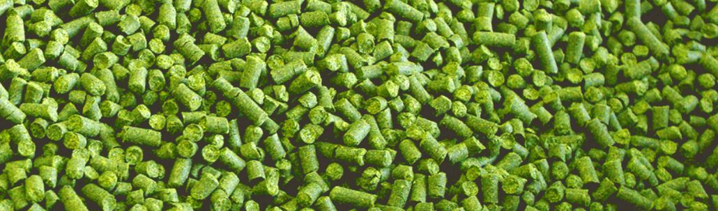 When do I pitch hops pellets to my beer wort? | How to Home Brew Beer