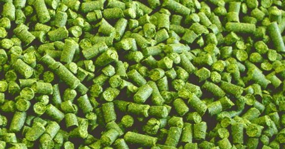When do I pitch hops pellets to my beer wort? | How to Home Brew Beer