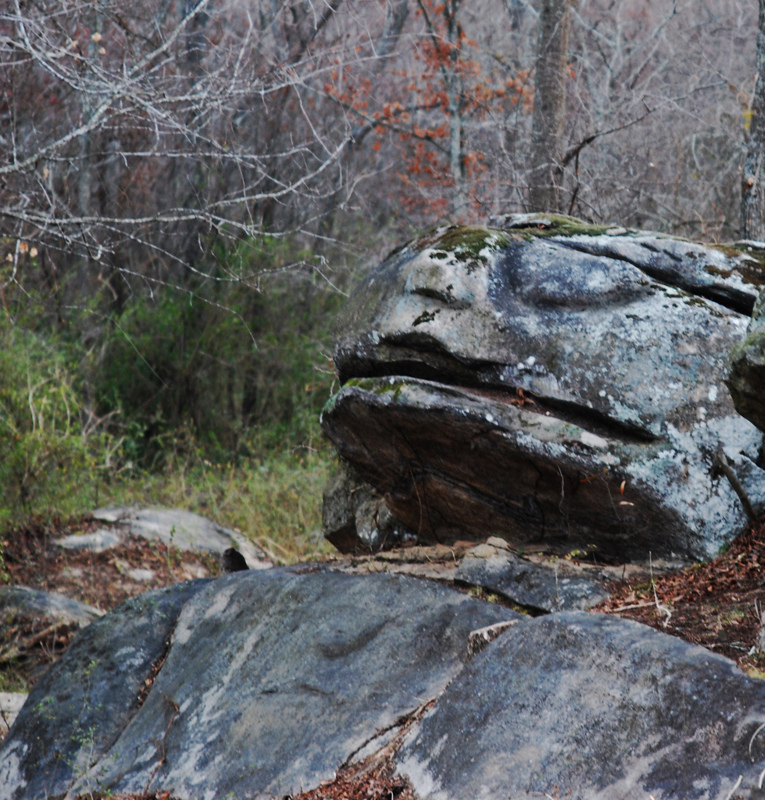 Waking Up on Turtle Island: Lithia Springs Ga