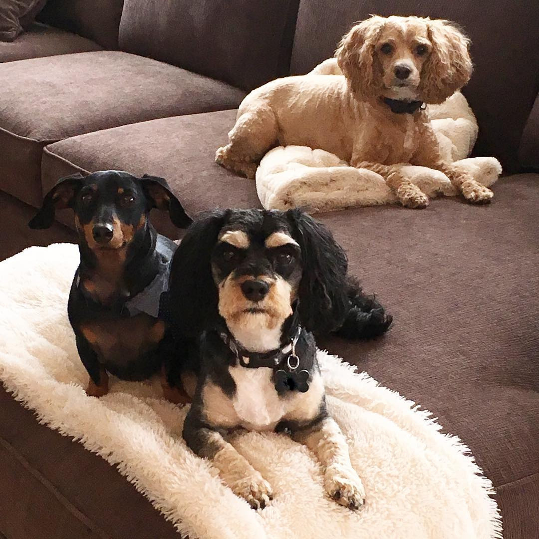 Sweet World Of Sammi Sweetheart Sweet Fan Club : Sweet World Of Sammi ...