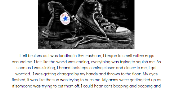Nazella : Paragraph about the shoes