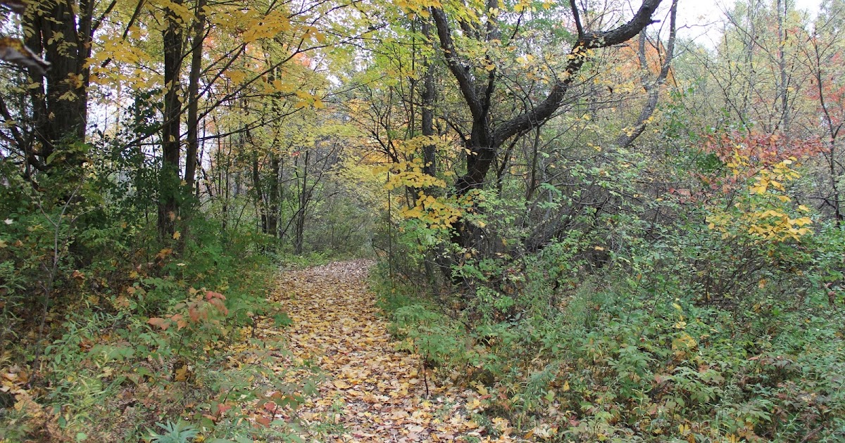 Isabella Conservation District Environmental Education Program ...