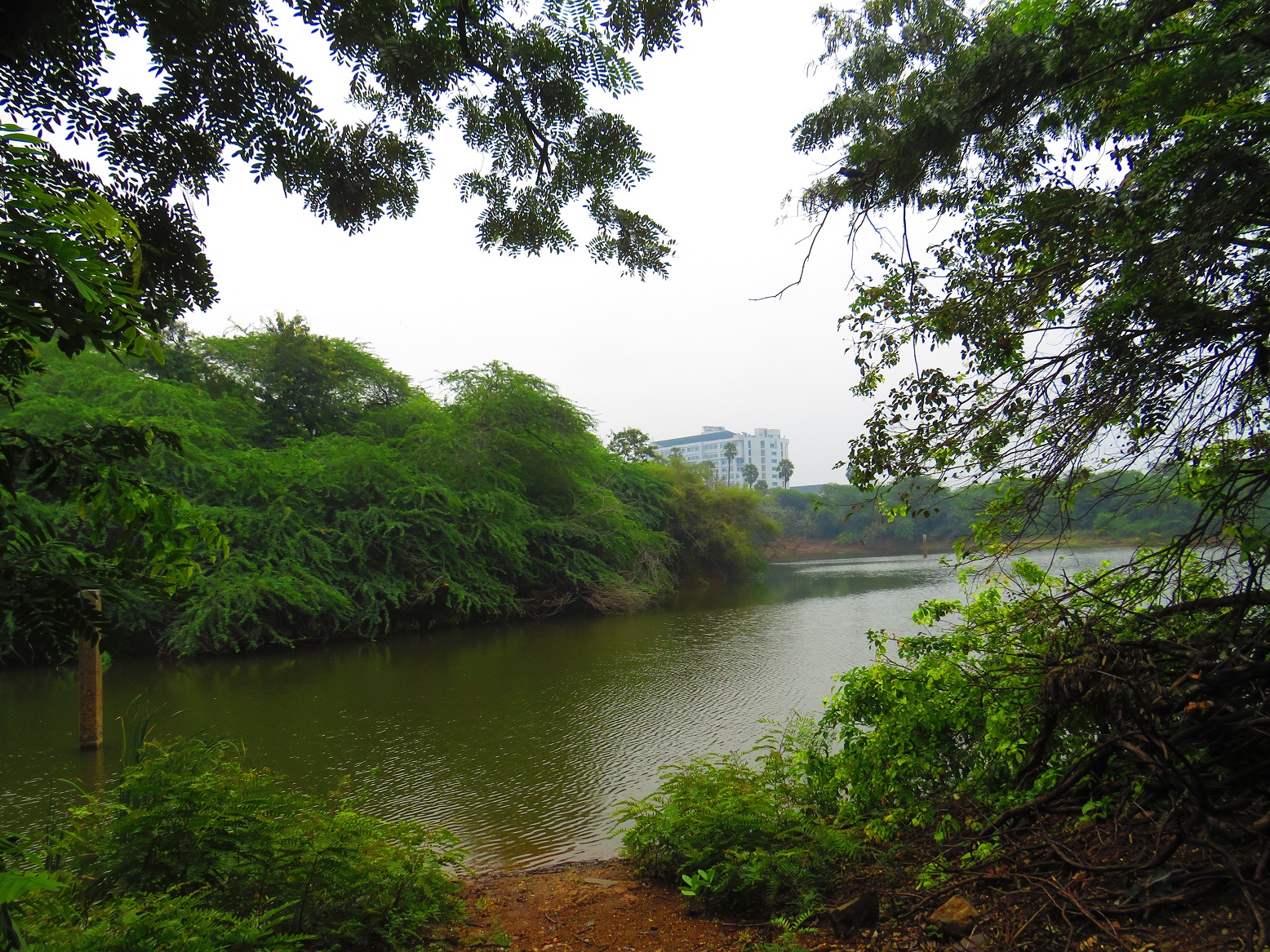 IIT Campus, Madras