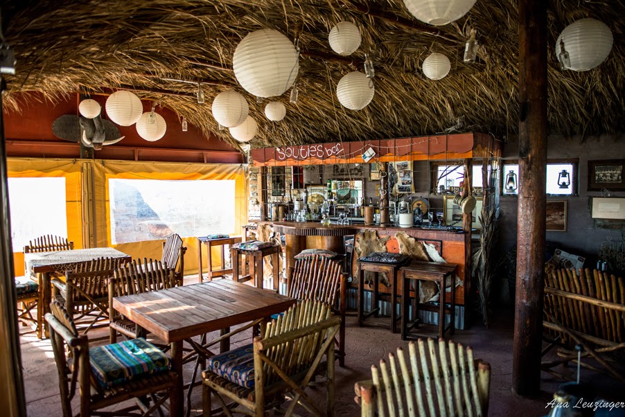 Uma Cantora na África: Karoo Suculento