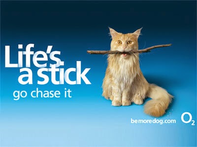 Be More Dog!: O2 - Be More Dog (IMC Campaign)