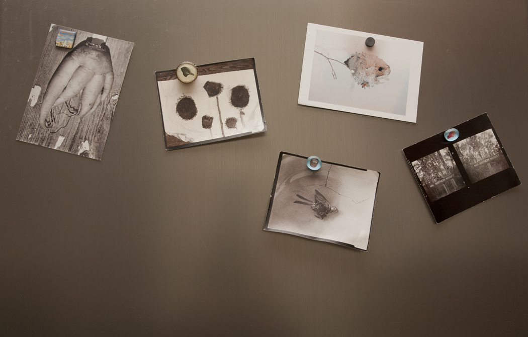 Something Between Want and Desire: Interview with James Luckett for the ...