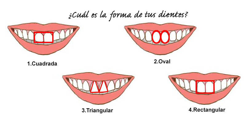 SISTEMA DENTARIO : SISTEMA DENTARIO