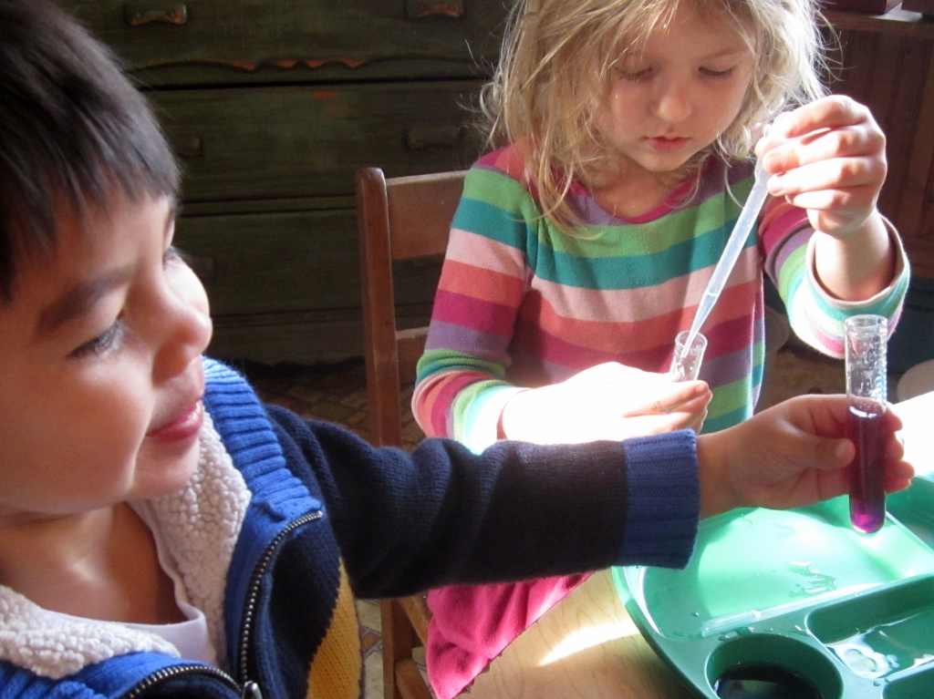 art and soul preschool: Color Mixing Lab the Next Phase: Studying Acids ...