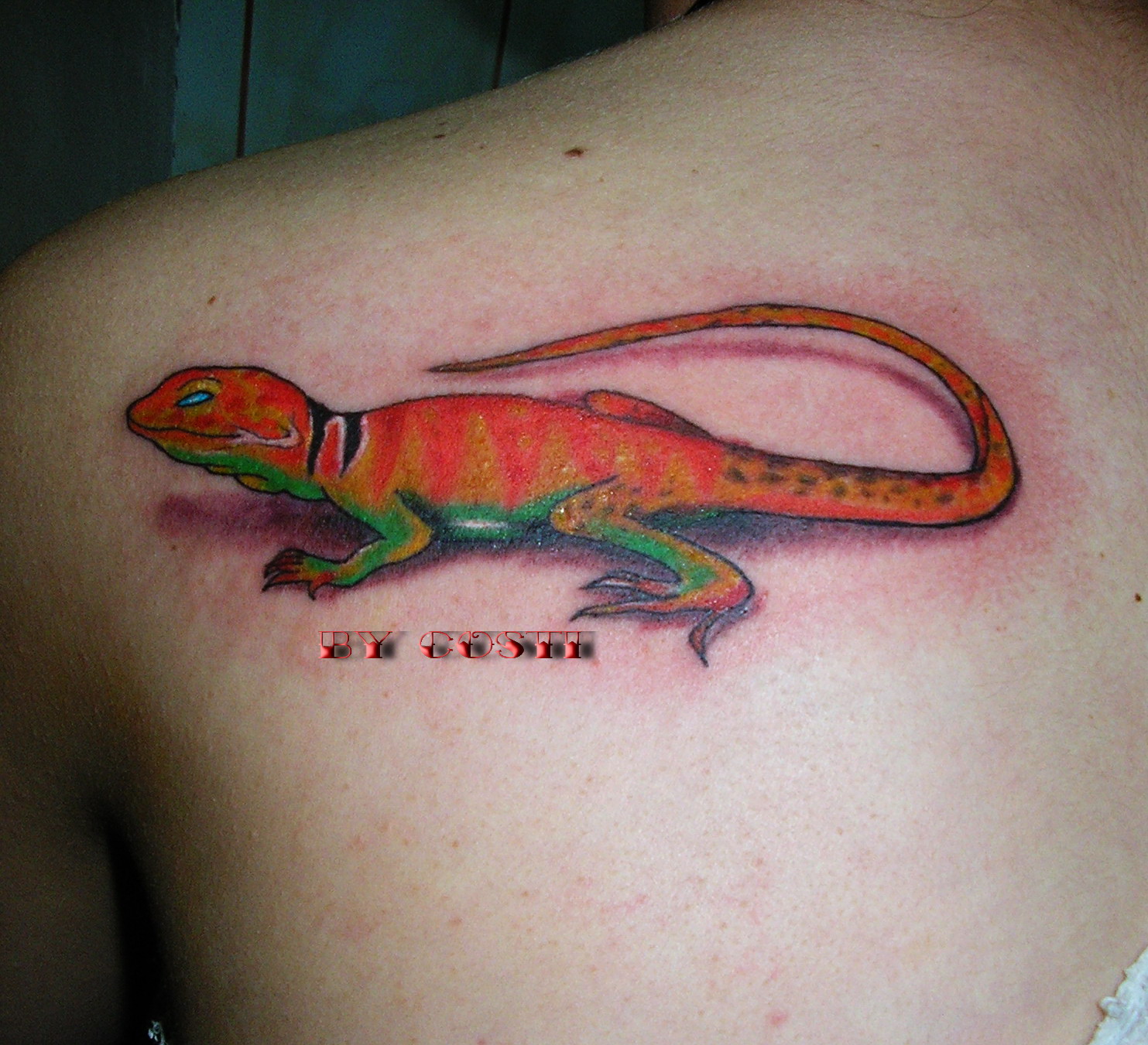 tatto: Lizard Tattoo Ideas