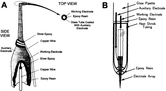 MICROELECTRODOS EN EL ANÁLISIS QUÍMICO: Introducción