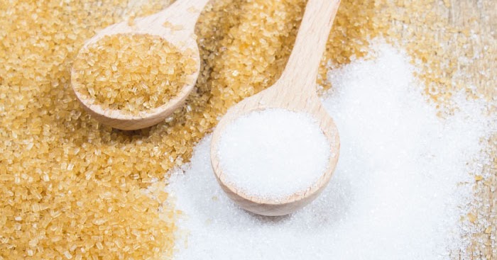 eltapondelascinco.com: ¿Qué le pasa a tu cuerpo cuando dejas de comer ...