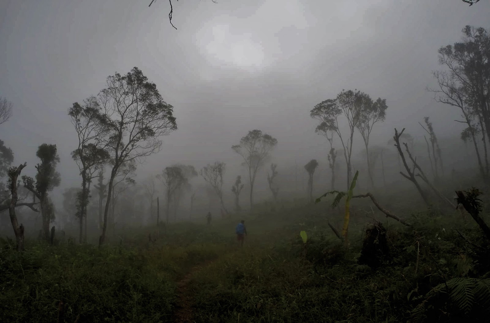 LAGATAW: Mountain Horror Stories You Never Heard