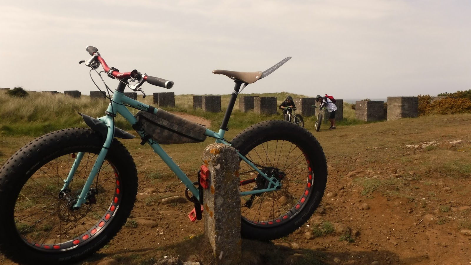 coastrider: Surly Wednesday update...