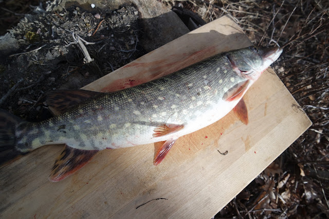 Landebistro: GRILLAD GÄDDA PÅ AFRIKANSKT SÄTT