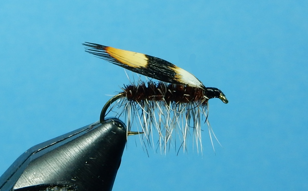 Flytying: New and Old: Jassid