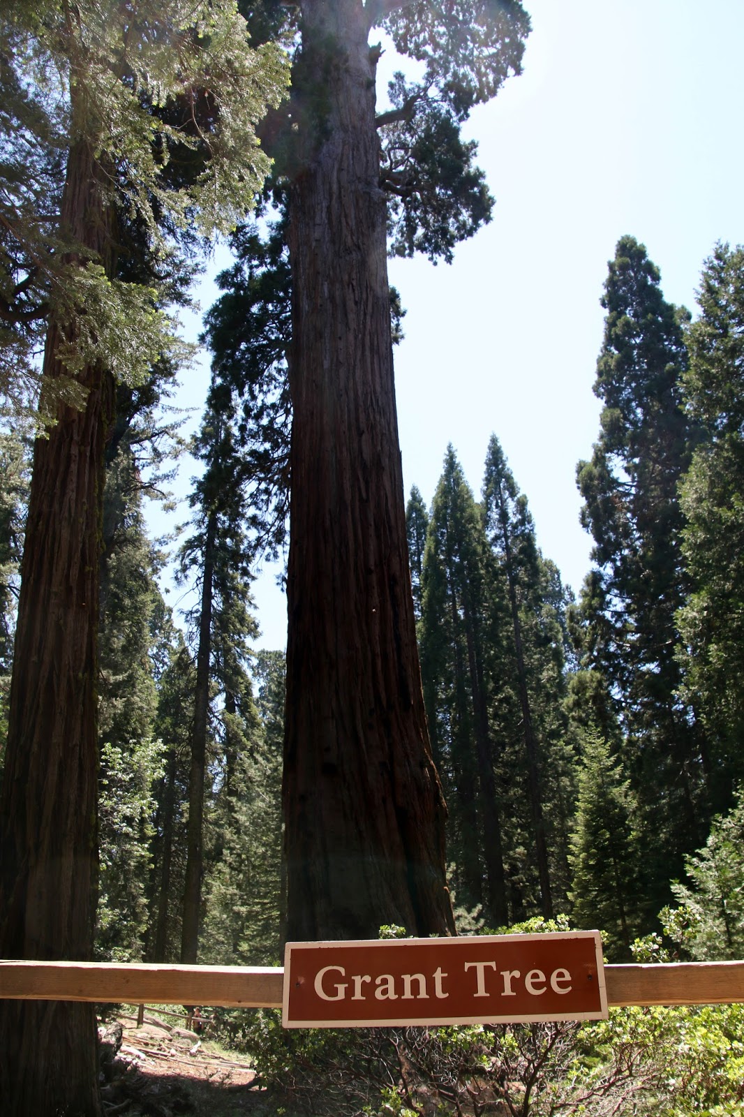 My Reflections: The Journey of June - Part 5