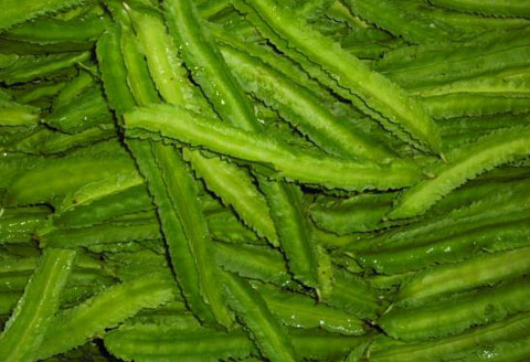 NURUL HONEY: ~~KHASIAT KACANG BOTOL~~