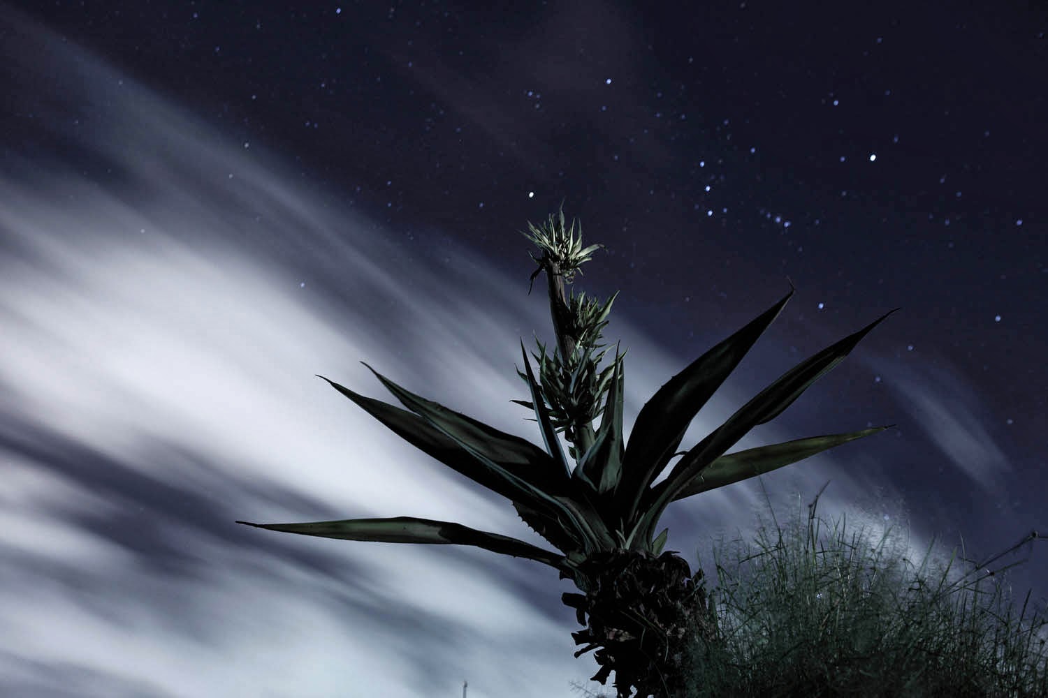 Florilège: MOHAMMAD ANISUL HOQUE - PHOTOGRAPHE - BANGLADESH