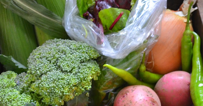 Farm Fresh - Week 3 | The Redhead's Adventures