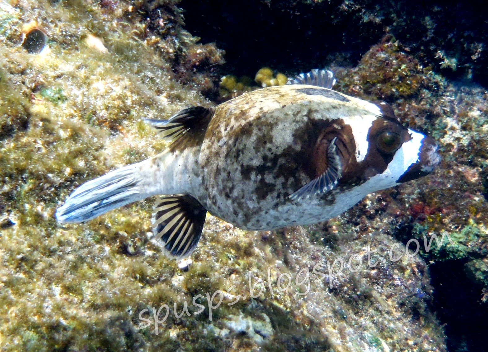 sztuka palcem u stopy po suficie: 2014