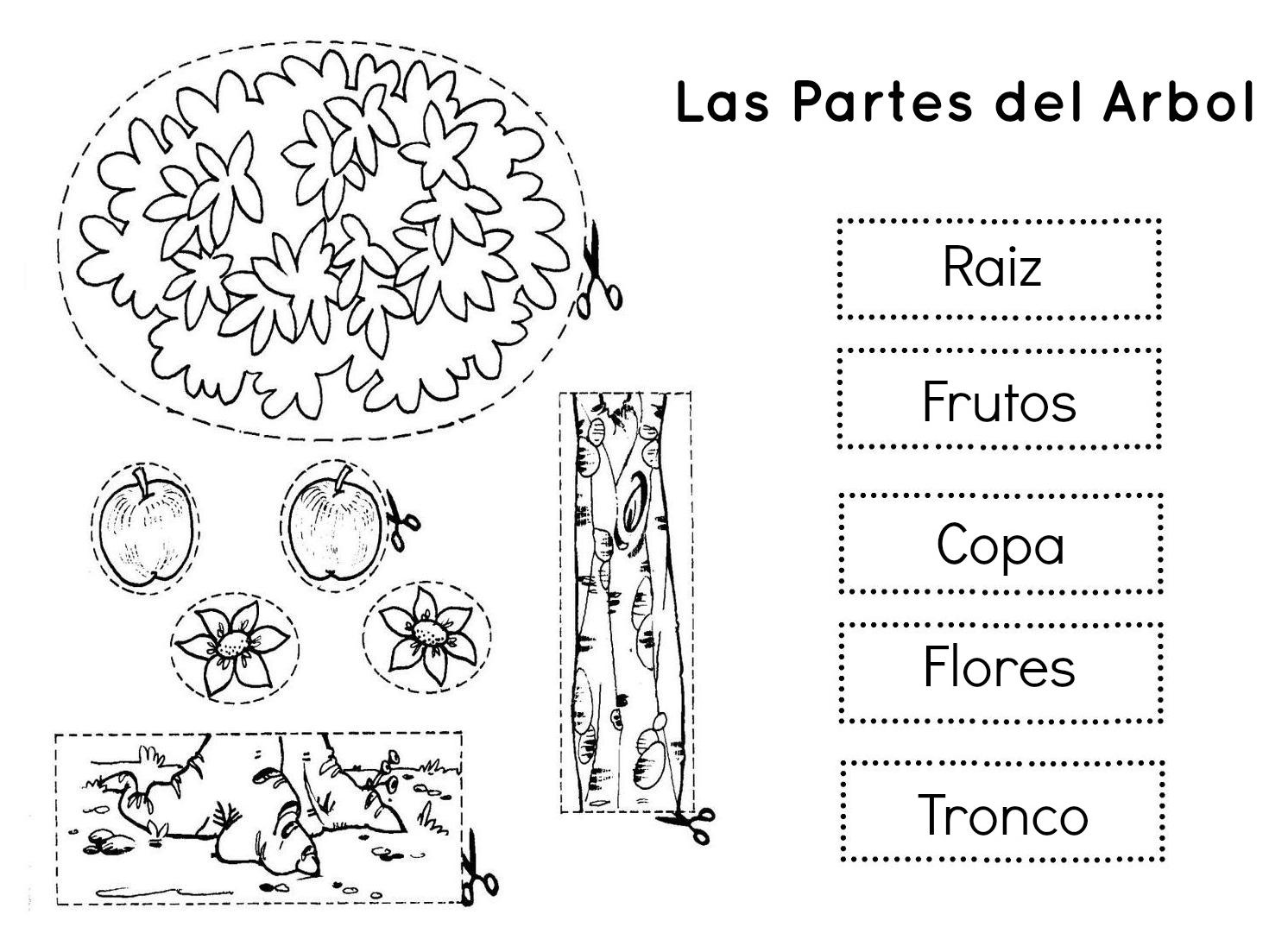 RECURSOS y ACTIVIDADES para Educación Infantil: Las Partes de las ... RECURSOS y ACTIVIDADES para Educación Infantil: Las Partes de las ...