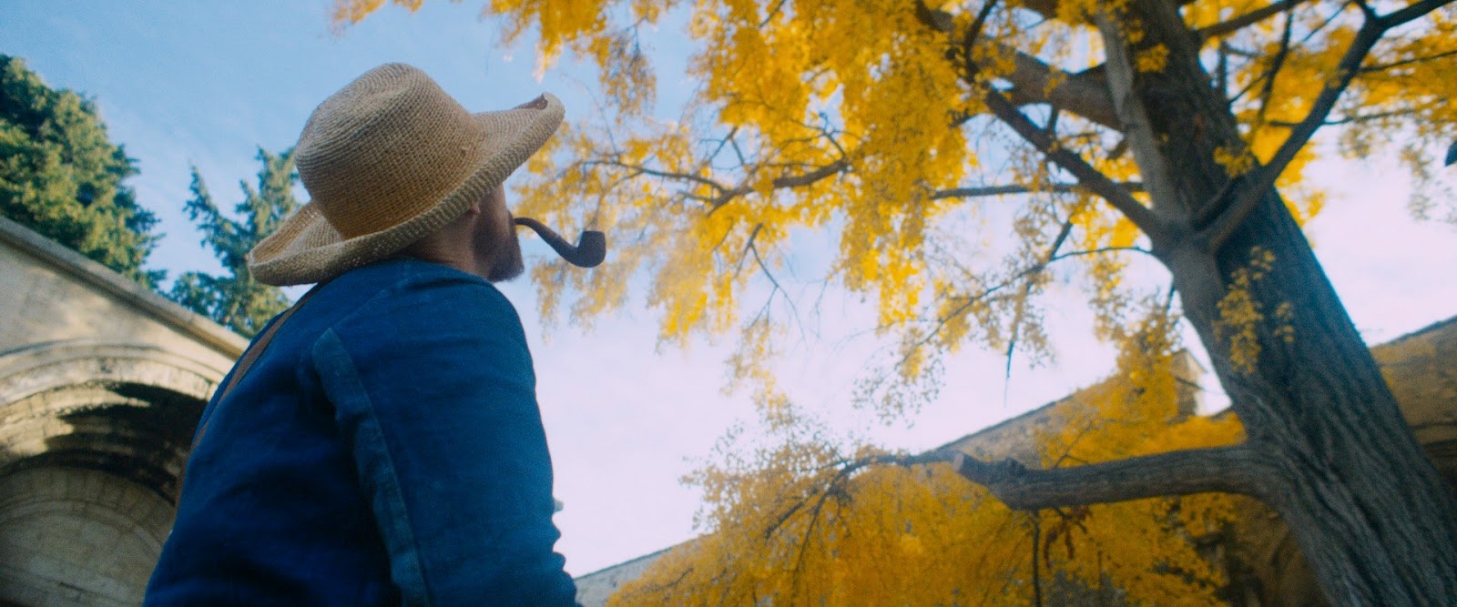 Il Regno della Litweb di Ippolita Luzzo: Il Film su Van Gogh è un dipinto