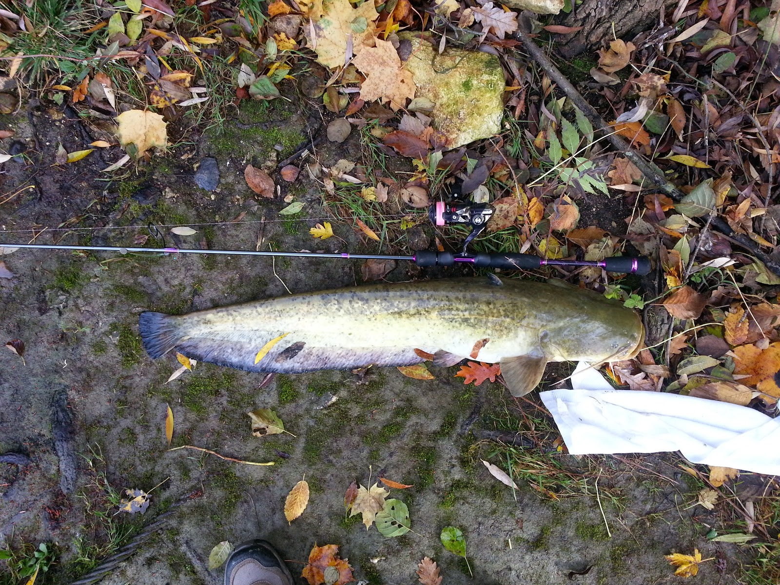 GFT Fishing: Test du Rod-Holder : Surprise