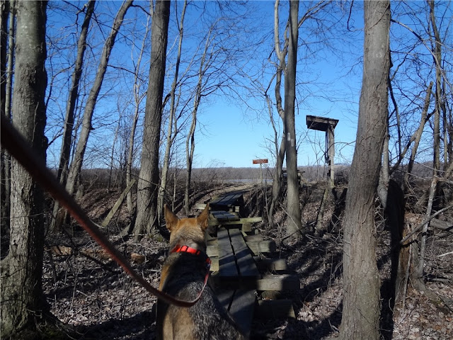 Gone Hikin': Appalachian Trail NJ: Pochuck Mountain to Wallkill River ...