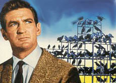 Rod Taylor The Birds