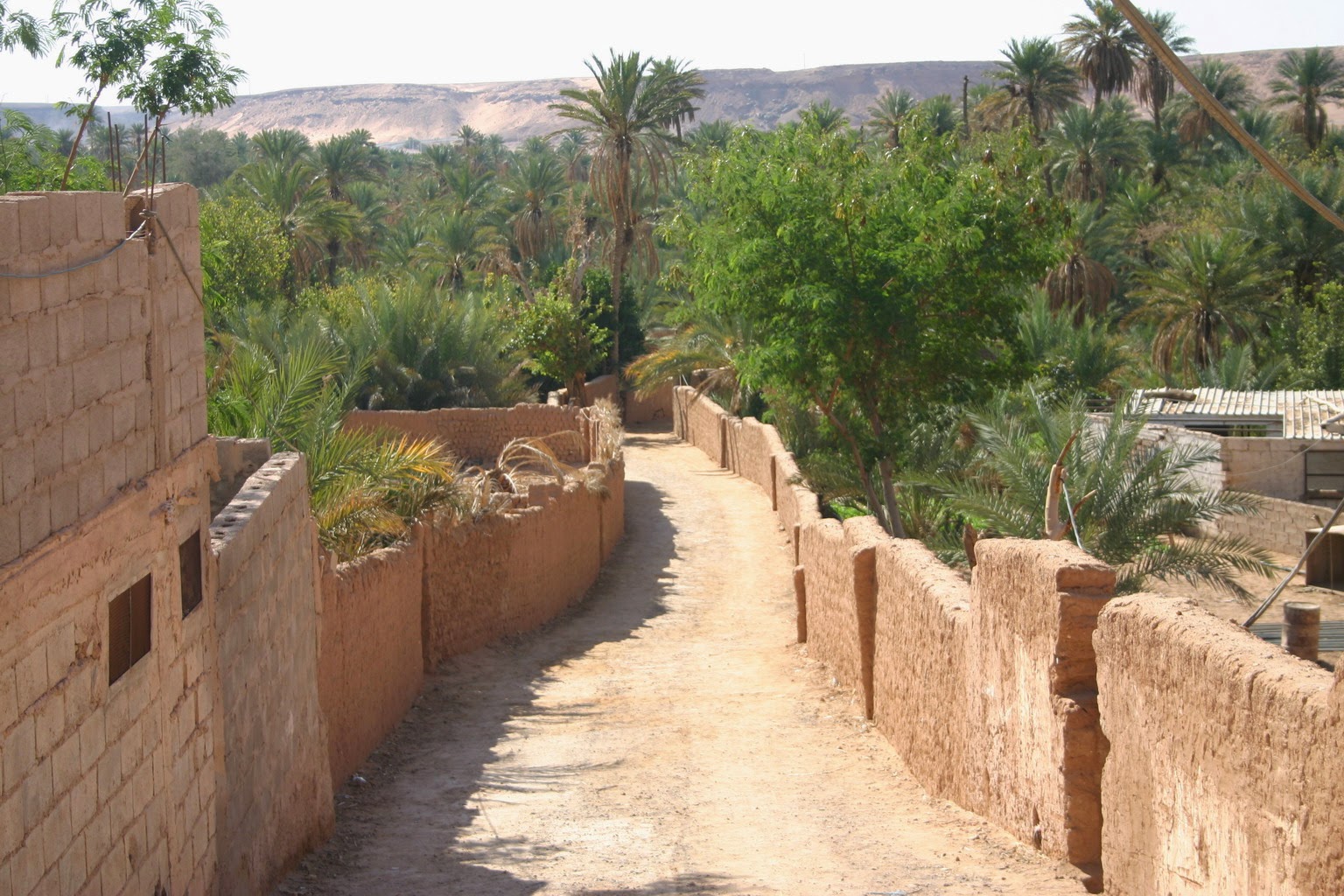 tourism algerie: La wilaya de Béchar