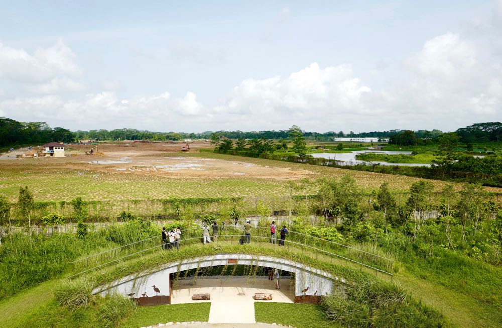 Faerie Tales: Kranji Marshes