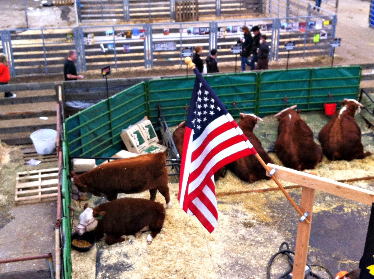 Fancy in the Country: For the Love of Cows