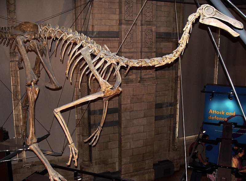 Prehistoric Beast of the Week: Gallimimus: Beast of the Week