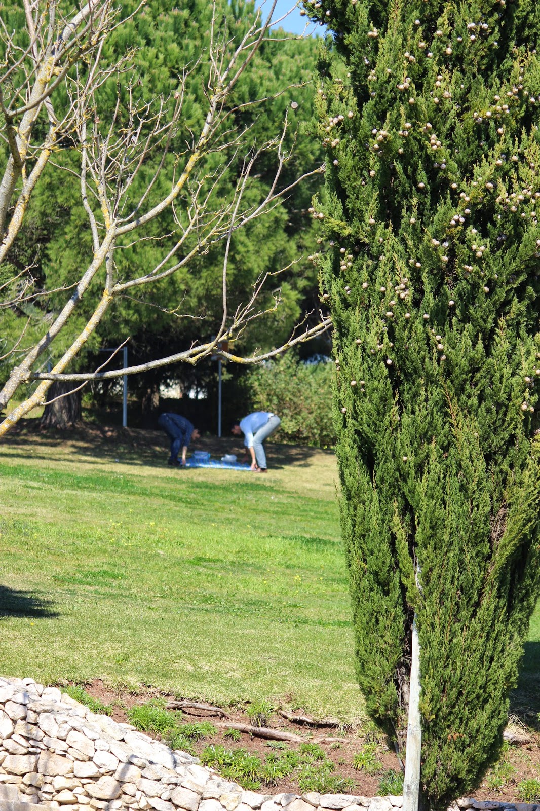 Existe um Cantinho de Paraíso entre as Torres do Restelo