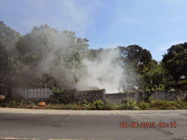 Naturalist's World - Dr Abe V Rotor : 12 Practical Household Tips