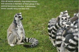 How It Feels Like to be Ostracized - John's Blog