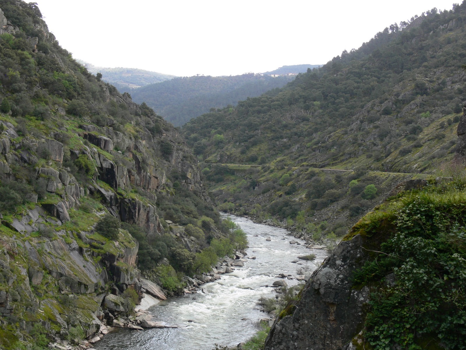 ripar ansiães: Rio Tua a correr para a Foz e a dar frutos a Mirandela