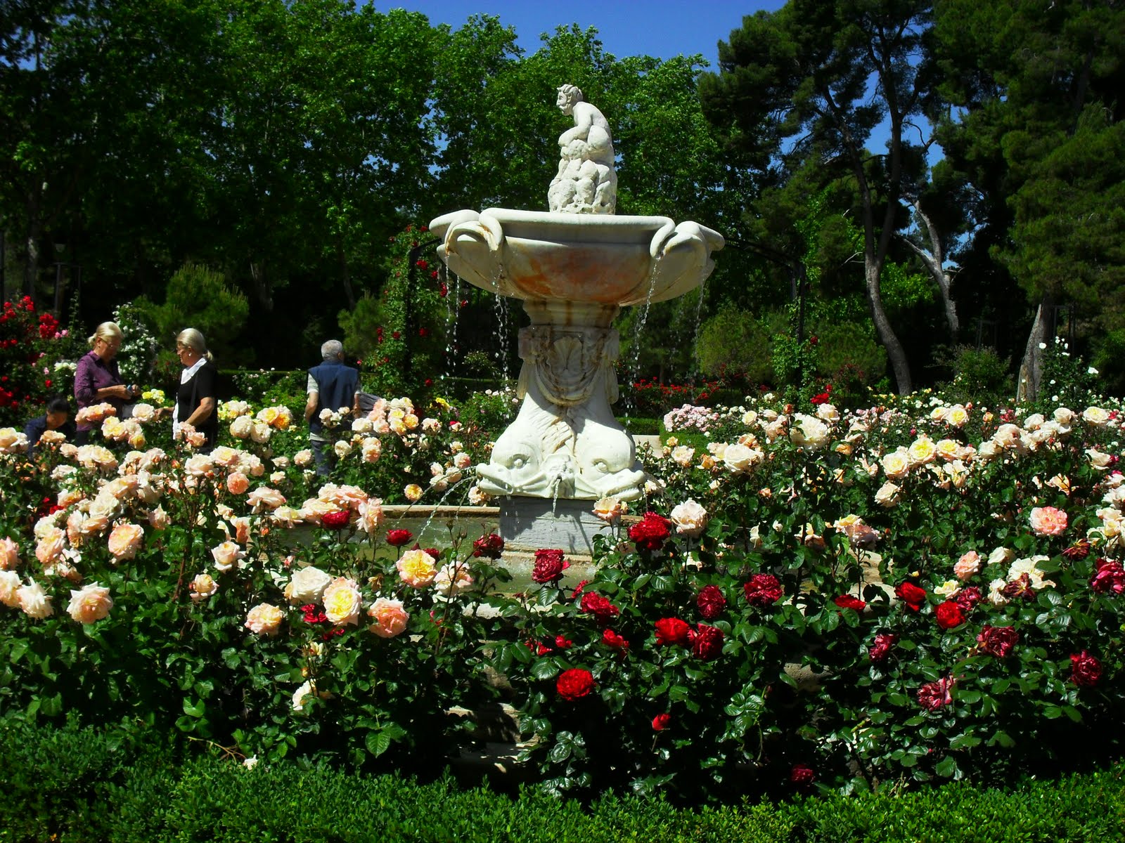 ARTE Y JARDINERÍA : ROSALEDA JARDÍN DEL RETIRO EN MADRID