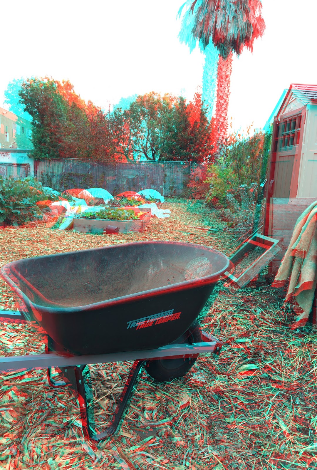 Physics of Animation: Creating Stereoscopic 3D Images