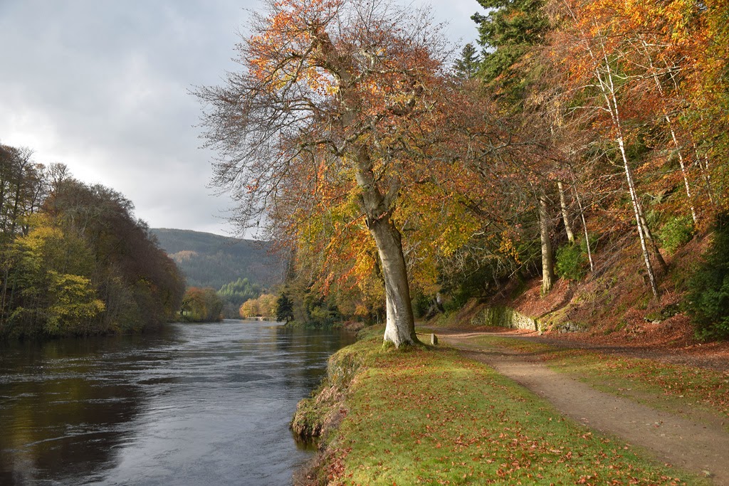 Love of Scotland: Birnam Tay Dunkeld