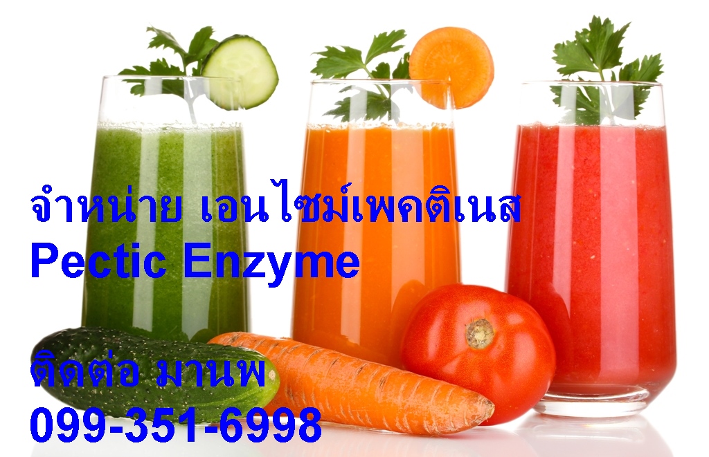 Best pectin enzyme, Pectinase enzyme | จำหน่าย เอนไซม์เพคติน ประสิทธิ ...