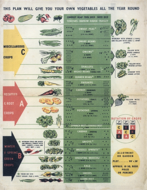 Harewood House: New 'Dig for Victory' bed in the Walled Garden this Summer