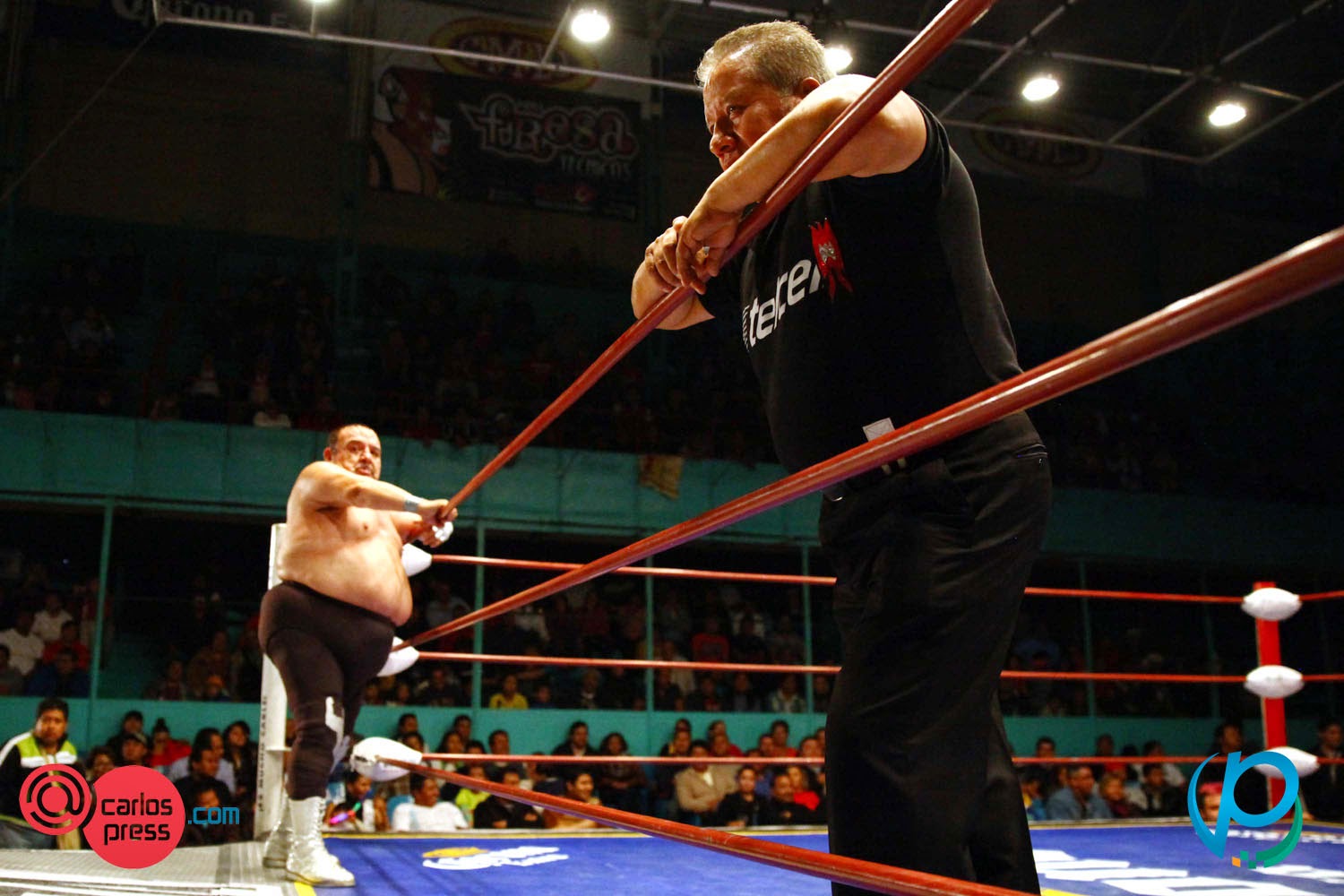 Lucha (Deporte): REGLAS LUCHA LIBRE