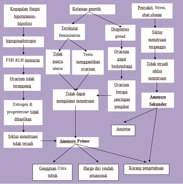 DayMD: ASKEP AMENORHOE