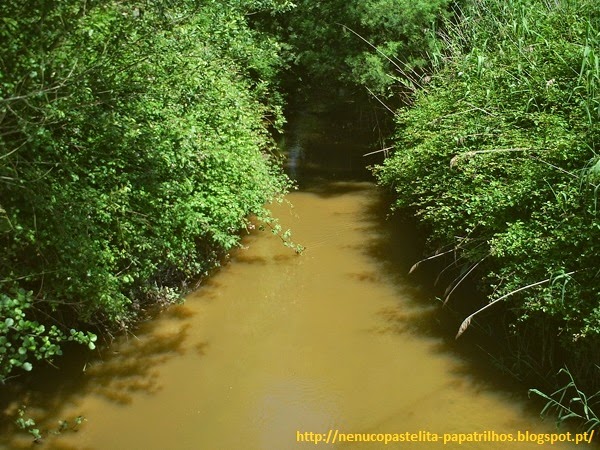 Os Papa Trilhos: PR2 - Campos do Pranto - Vinha da Rainha
