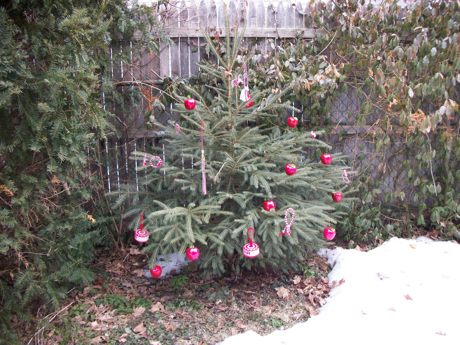 The Alien Diaries: The Martenitsa Tree-A Modern Day Folktale (Inspired ...