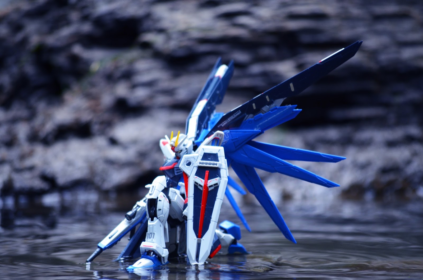 'Freedom' RG Freedom Gundam photography by Ed.